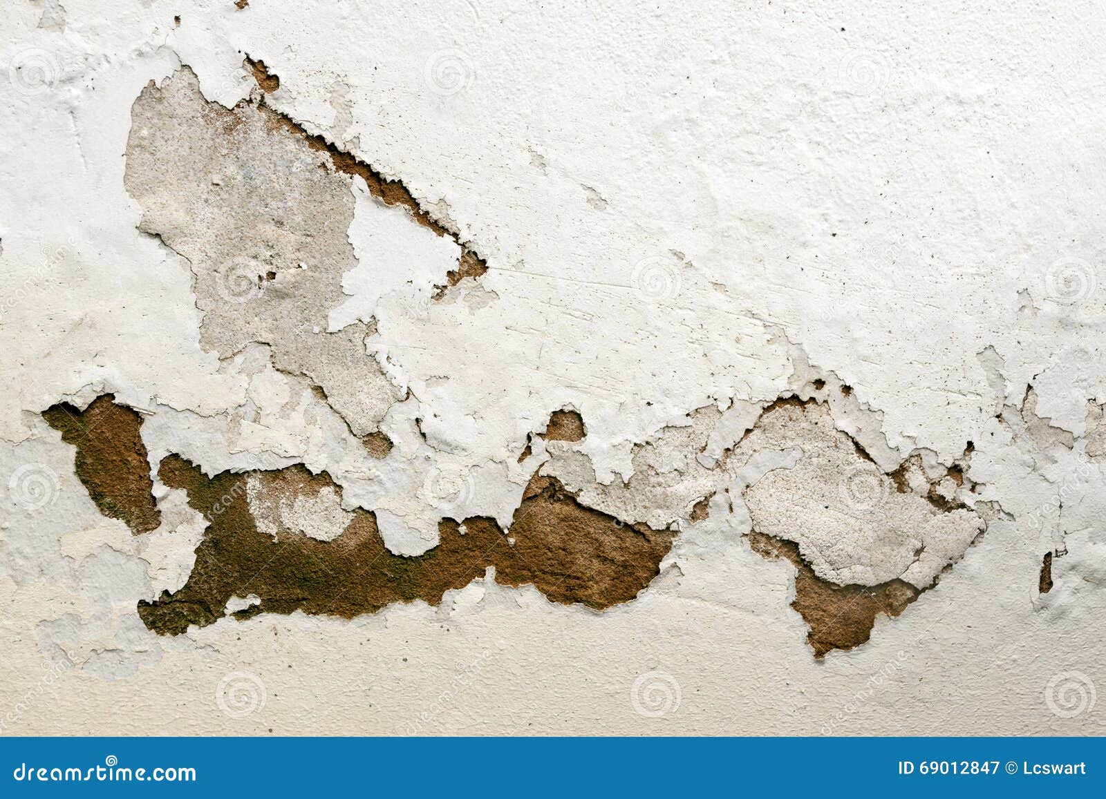Bubbling and Peeling Paint As a Result of Rising Damp Stock Image ...