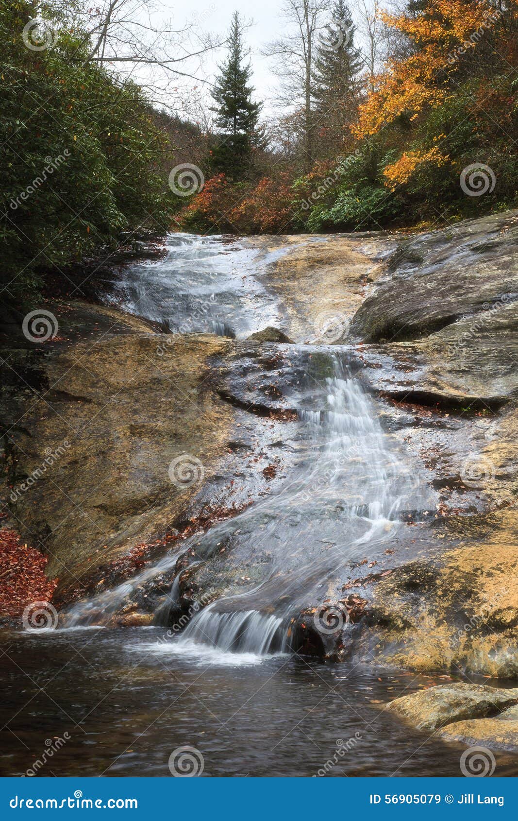 Bubbling Spring Branch Cascade Stock Image - Image of branch, cascade ...
