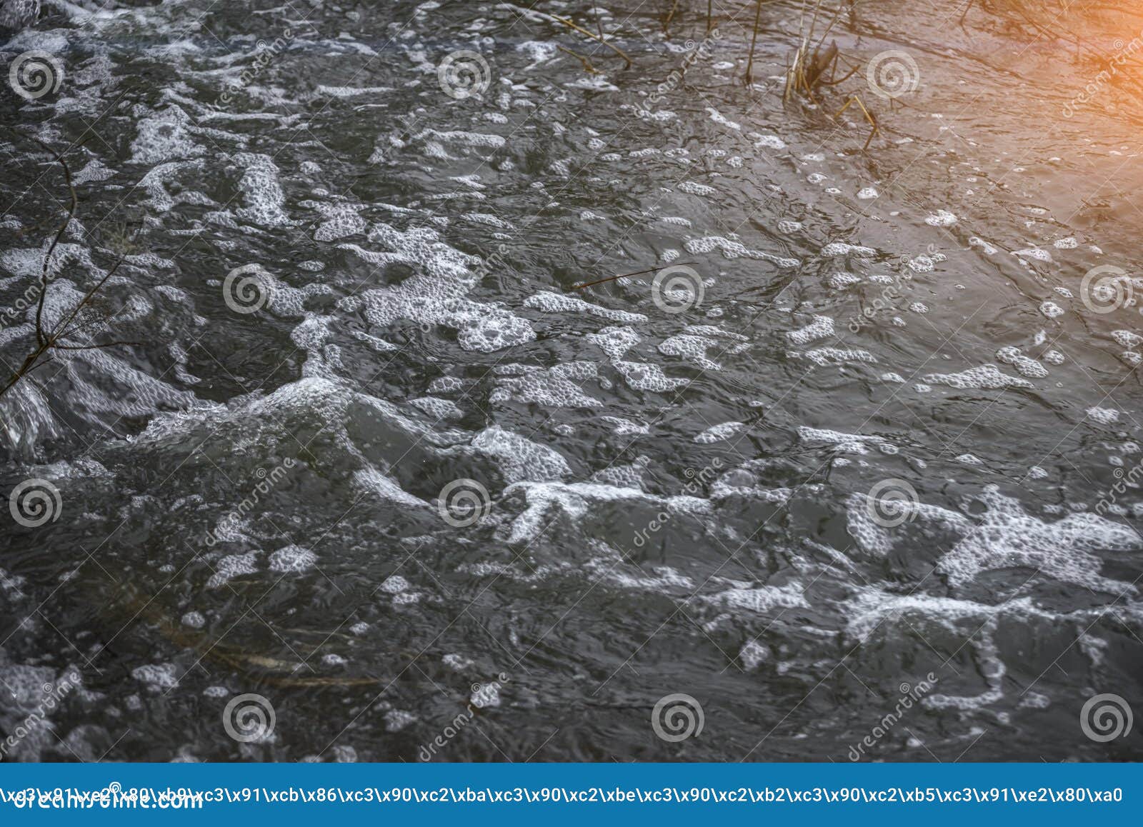 Bubbling Streams of Spring Meltwater Stock Photo - Image of foliage ...
