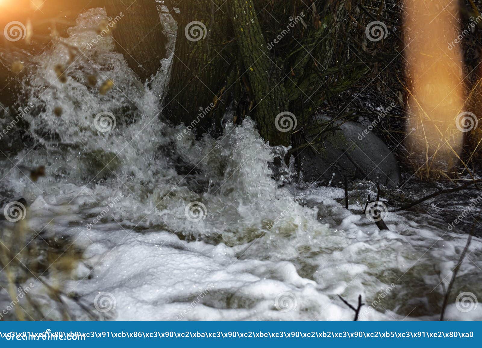 Bubbling Streams of Spring Meltwater Stock Image - Image of environment ...