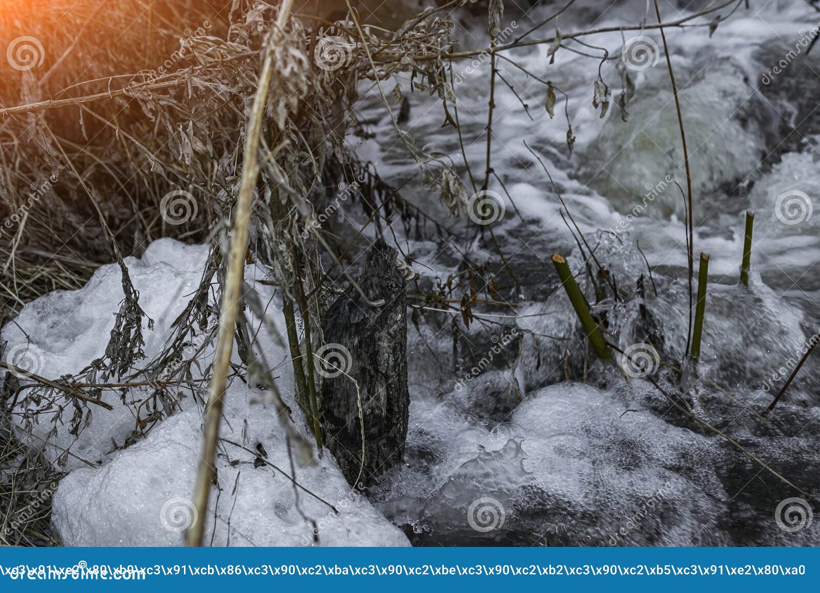 Bubbling Streams of Spring Meltwater Stock Image - Image of drop, fresh ...