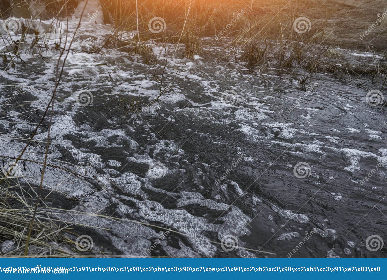 Bubbling Streams of Spring Meltwater Stock Photo - Image of background ...
