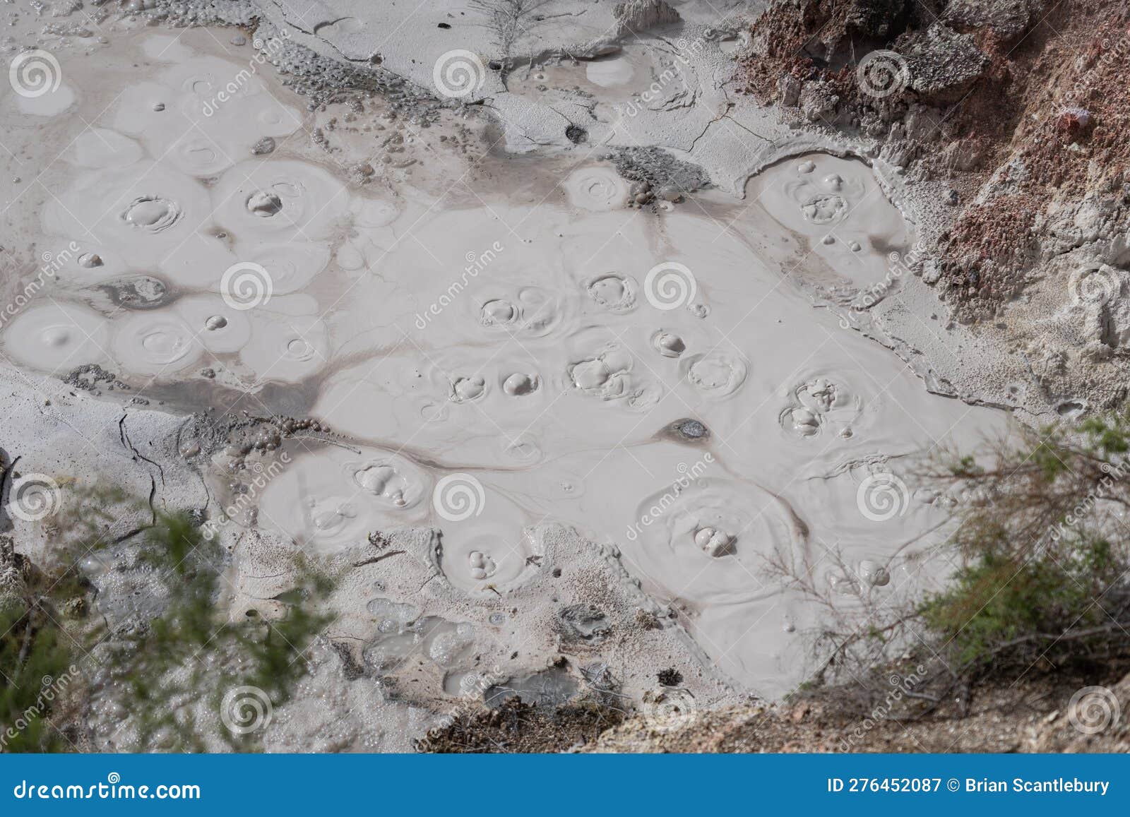 Bubbling thermal mud pools stock image. Image of zealand - 276452087