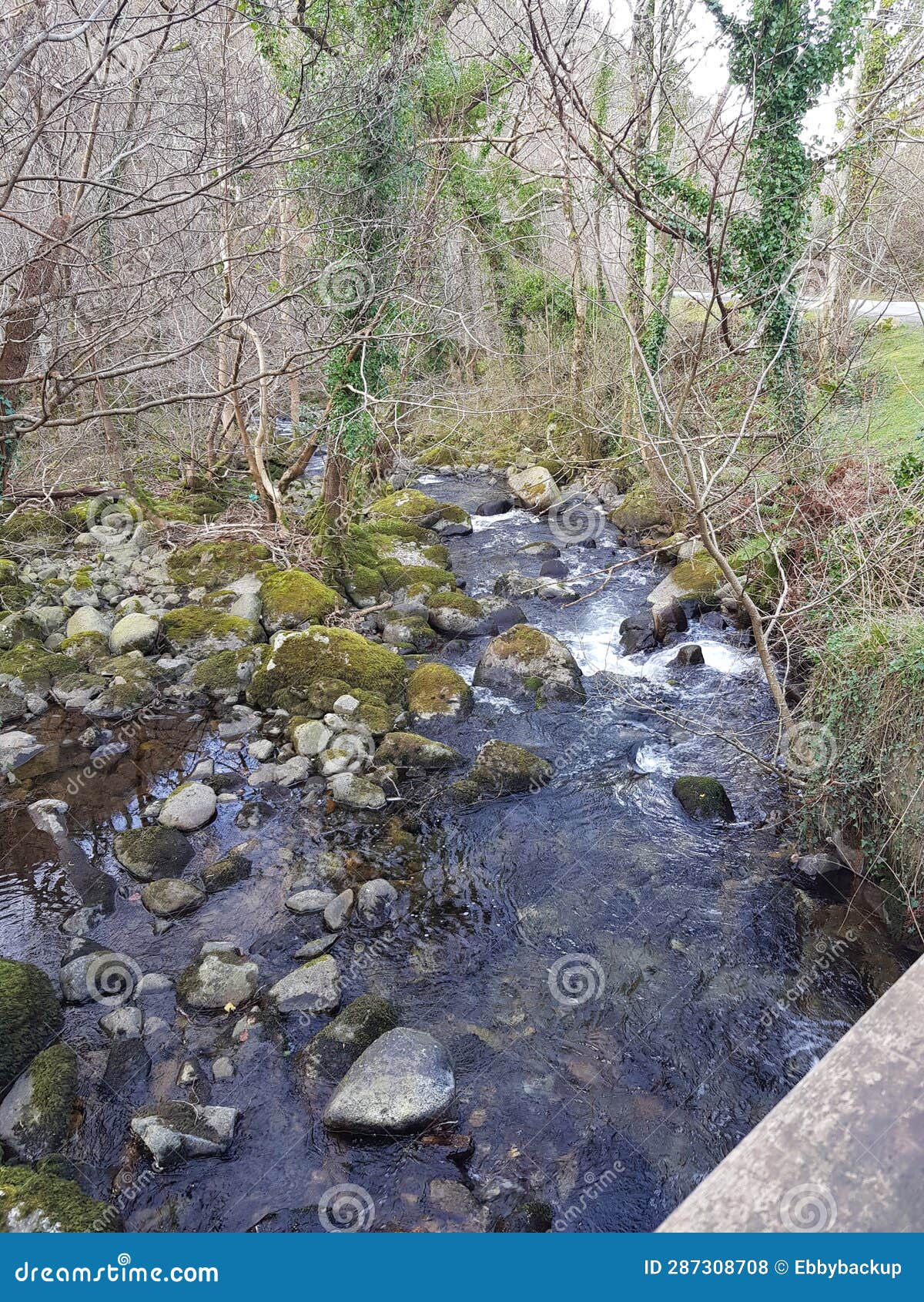 Bubbling welsh stream stock photo. Image of stream, welsh - 287308708