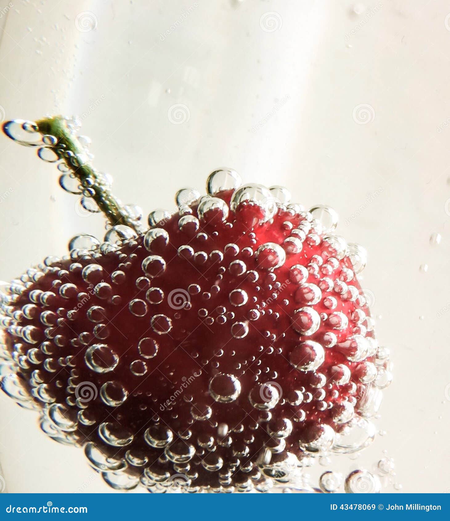 Bubbly Cherry stock image. Image of water, cherry, summery - 43478069