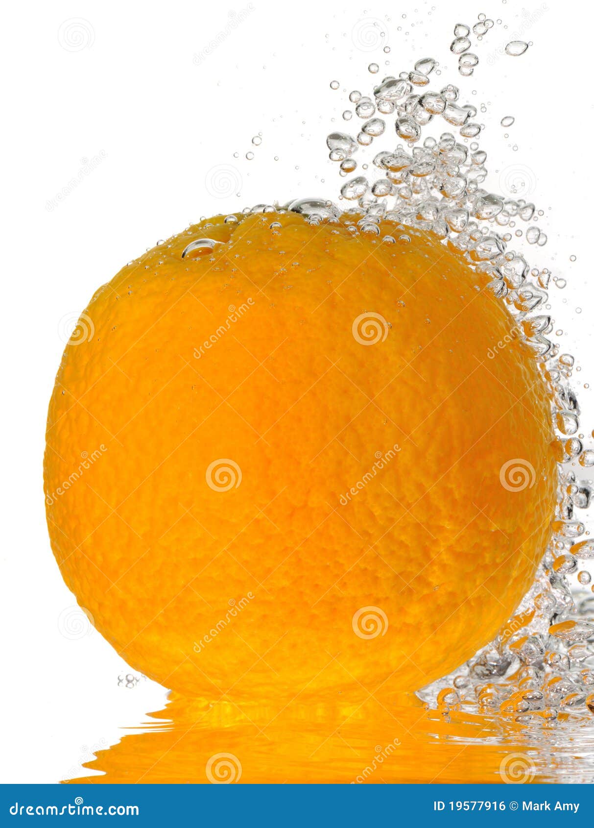 Bubbly Orange stock photo. Image of natural, food, fresh - 19577916