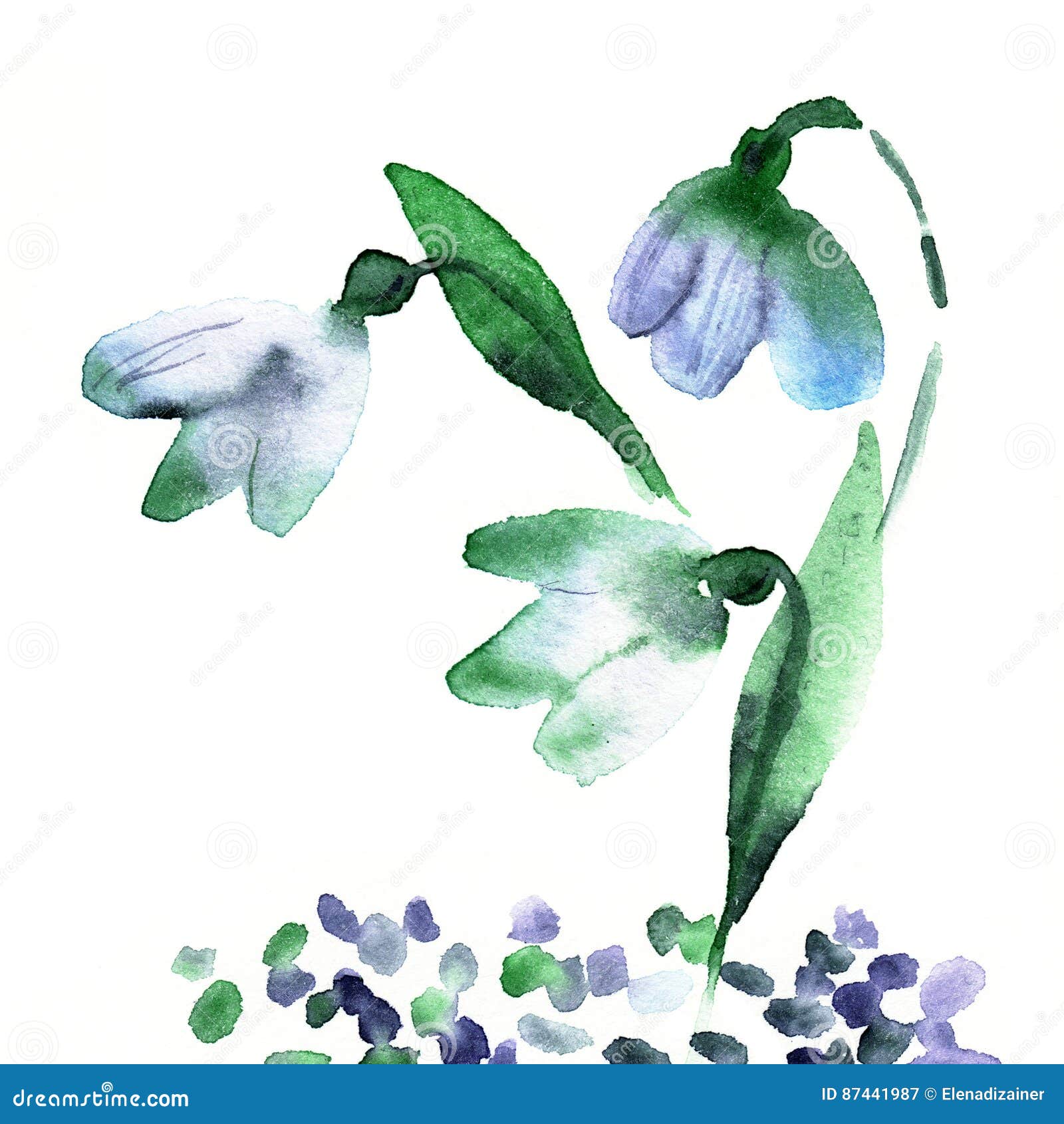 Bucaneve Dipinti a Mano Dell'acquerello Isolati Illustrazione di Stock ...