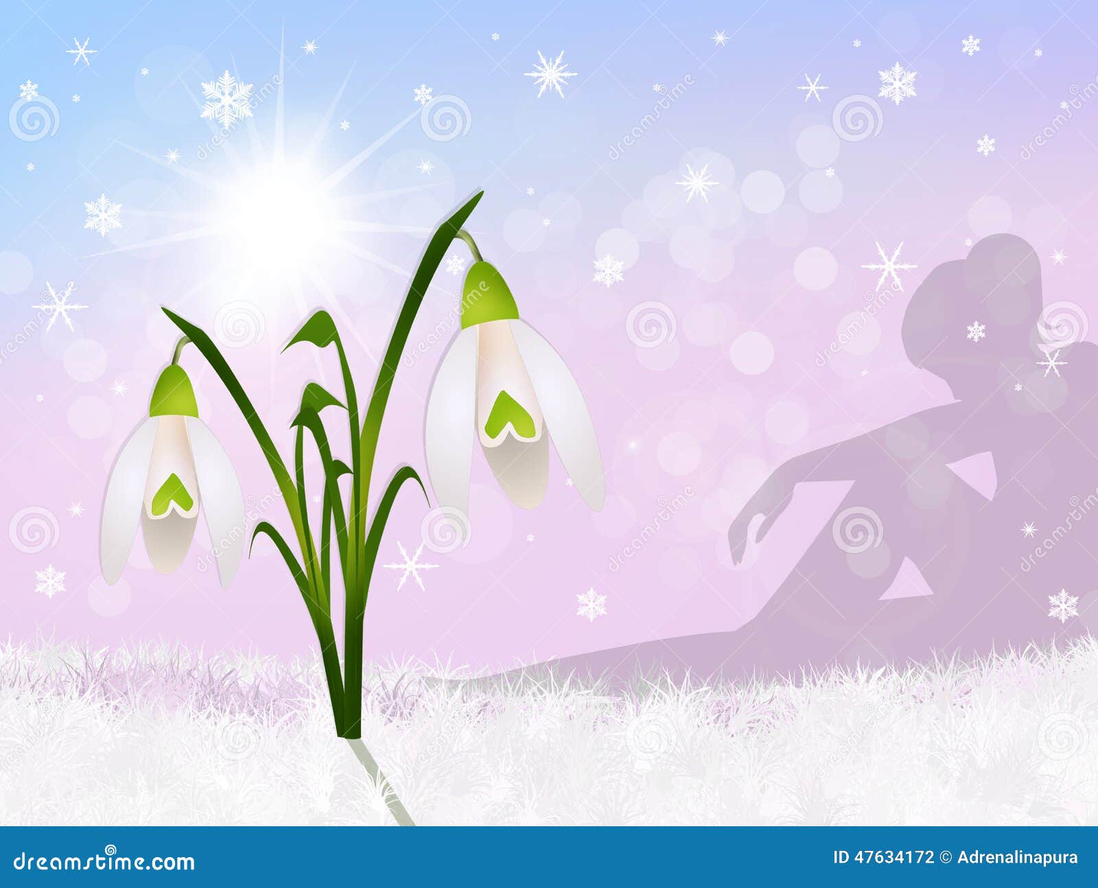 Bucaneve nella neve illustrazione di stock. Illustrazione di famiglia ...