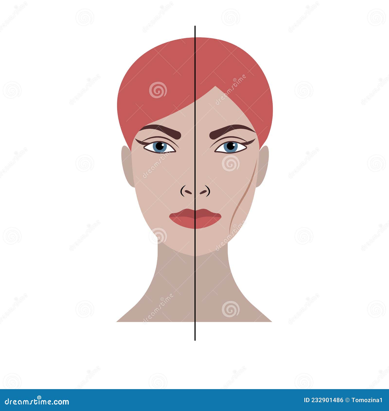 Buccal Fat Removal stock vector. Illustration of design - 232901486