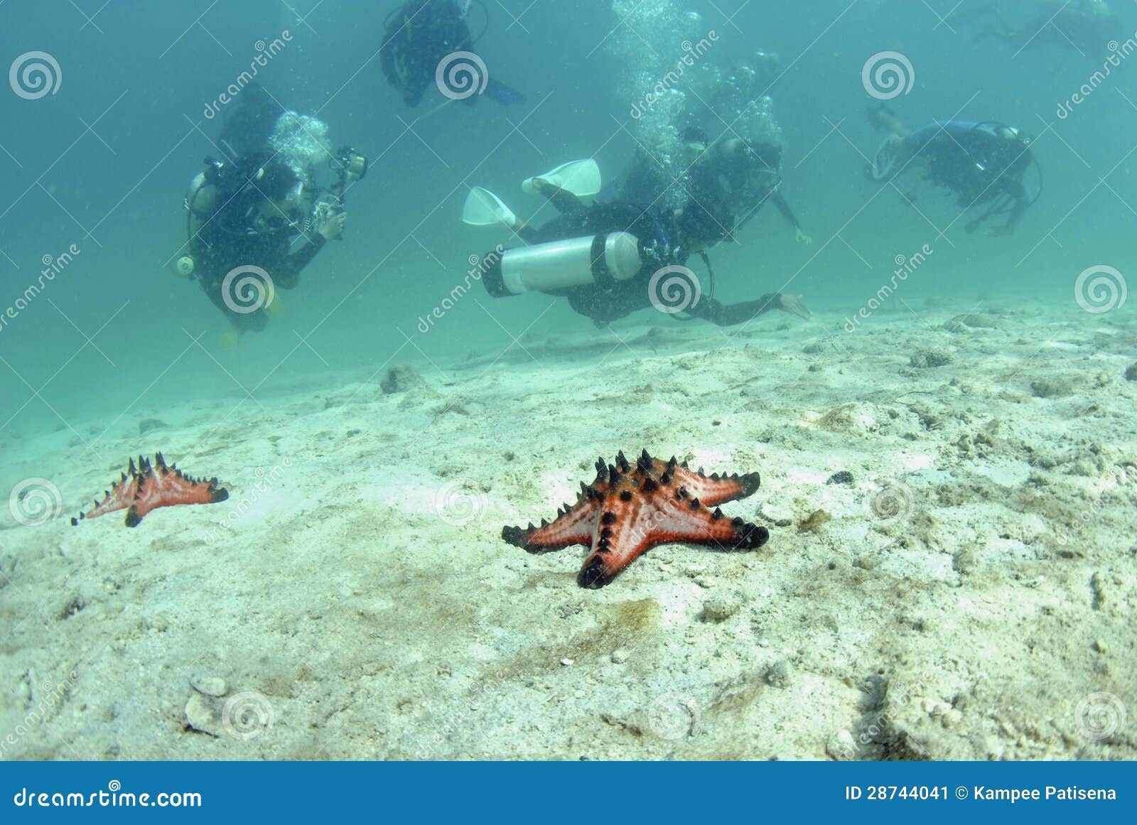Buceadores Que Nadan Sobre La Estrella De Mar Imagen de archivo ...