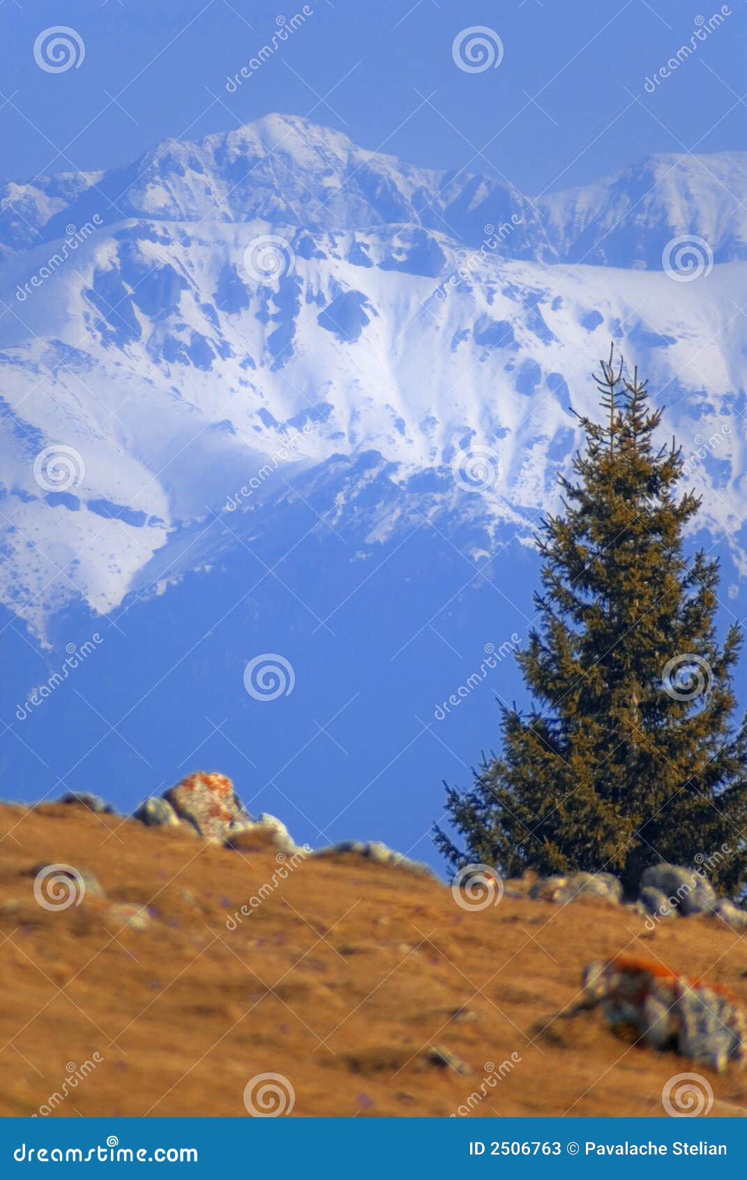 Bucegi Mountain, Romania stock image. Image of piatra - 2506763