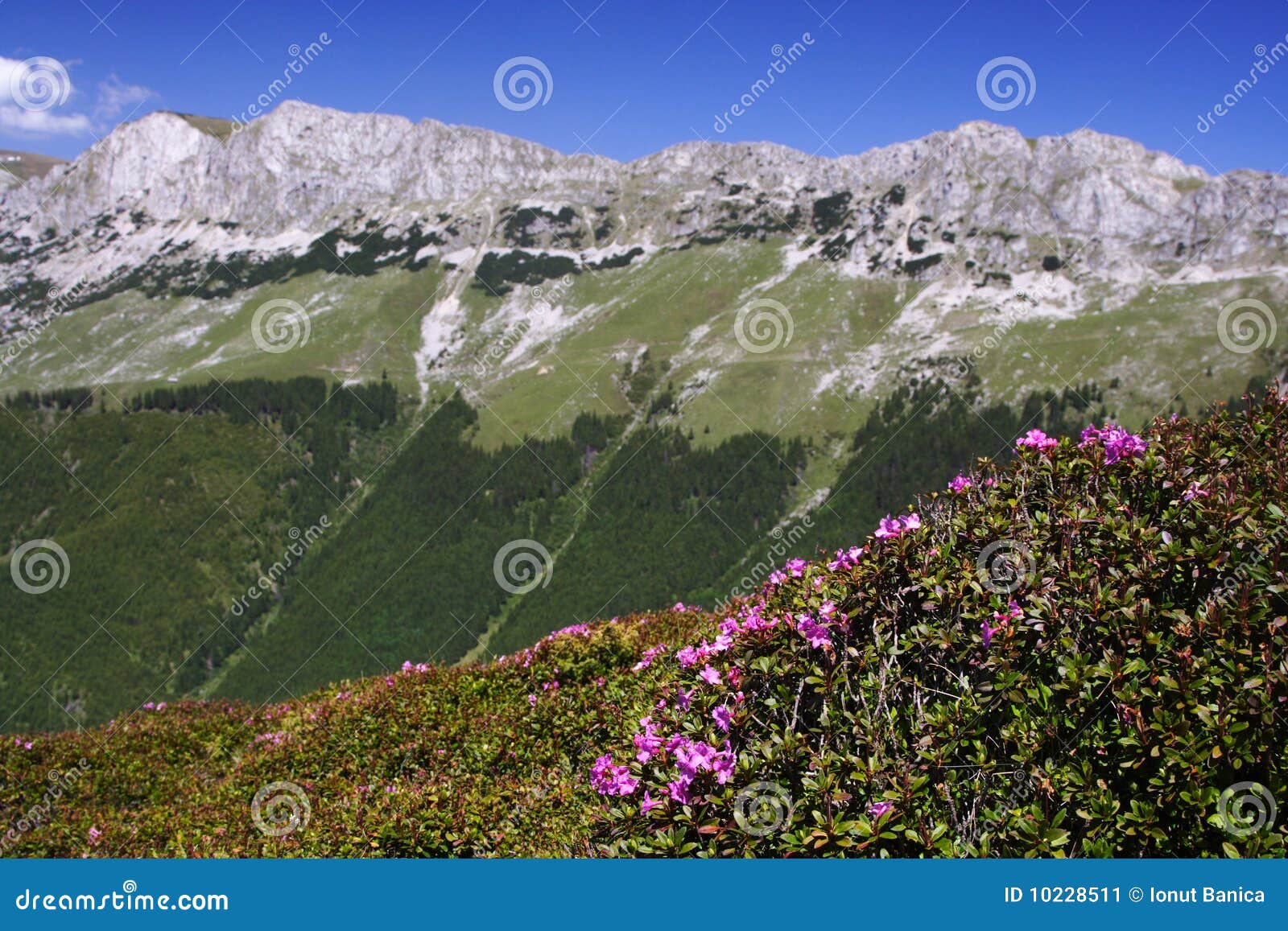 Bucegi mountains stock image. Image of hiker, blue, bucegi - 10228511
