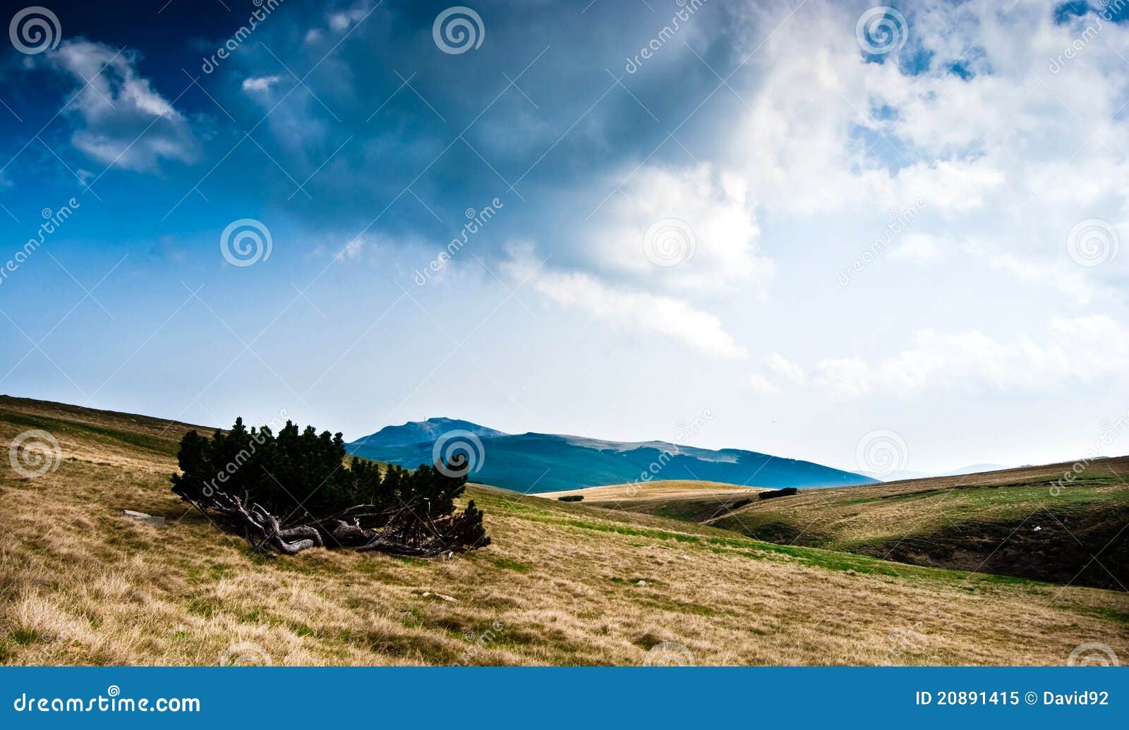 Bucegi mountains stock image. Image of grass, blue, romania - 20891415