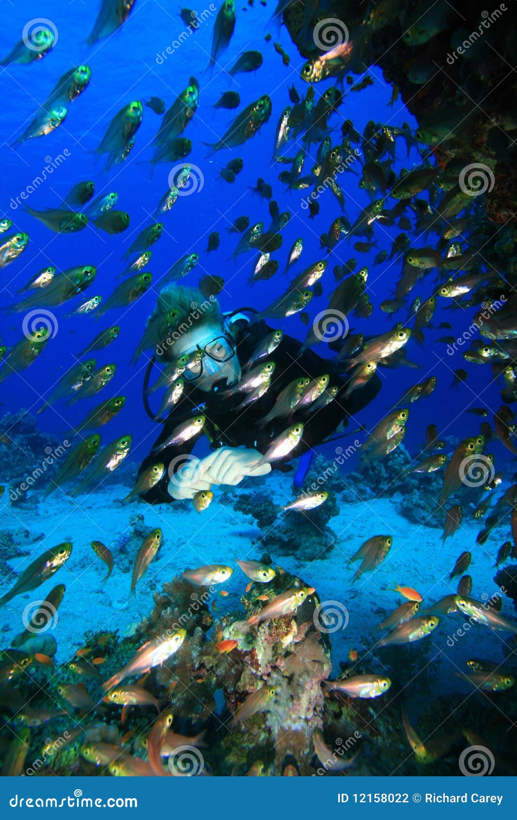 Buceo con escafandra foto de archivo. Imagen de coral - 12158022