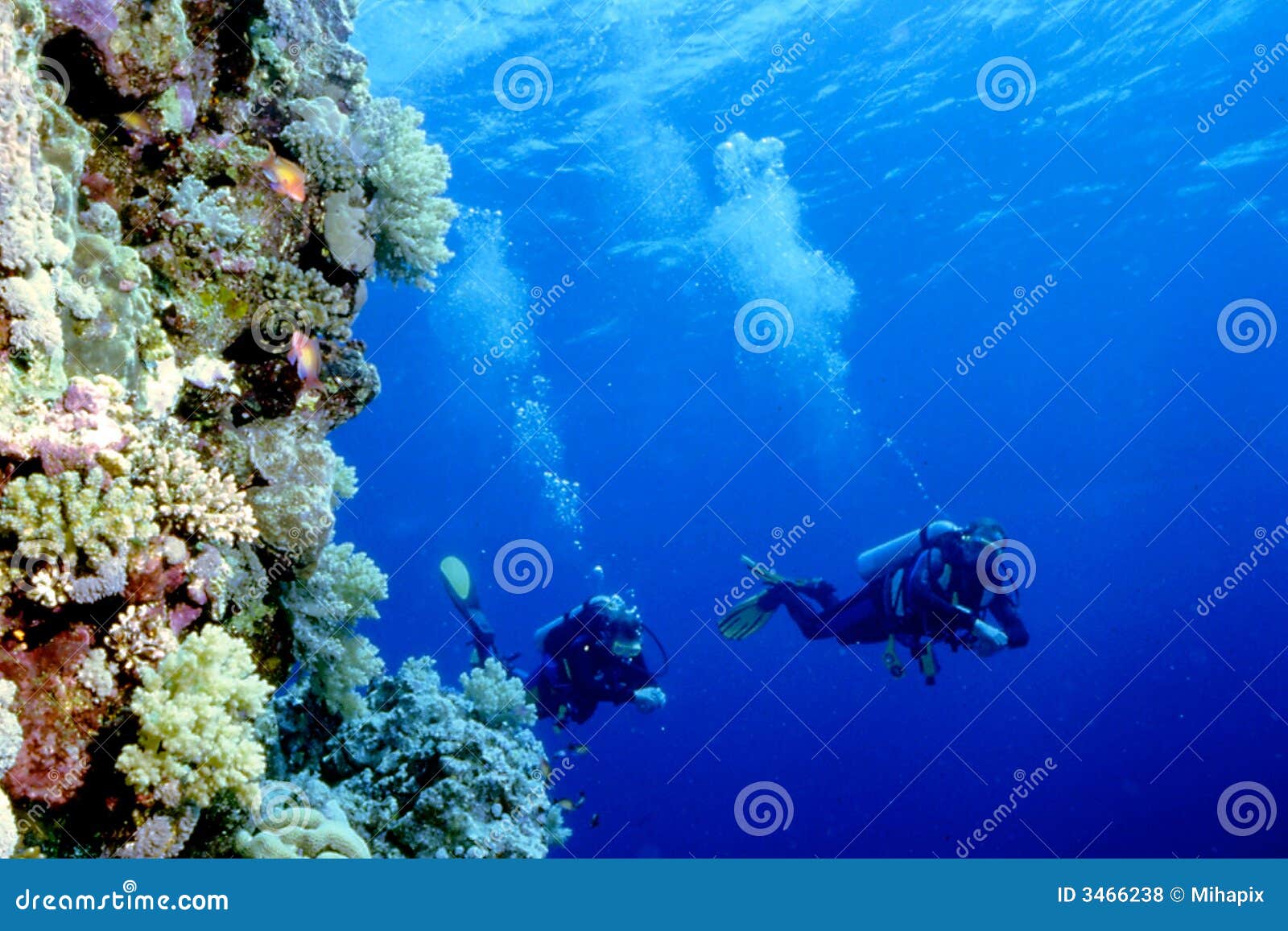 Buceo con escafandra foto de archivo. Imagen de océano - 3466238
