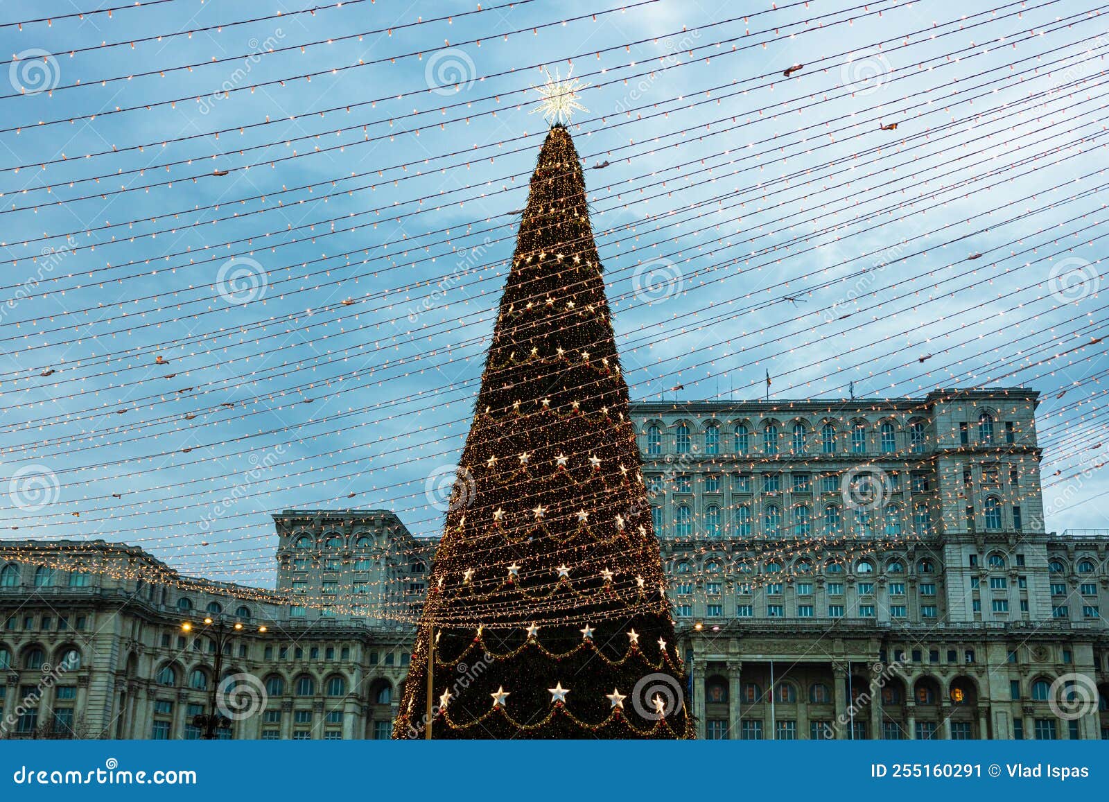 Bucharest Christmas Market - Detail of Christmas Tree Stock Image ...