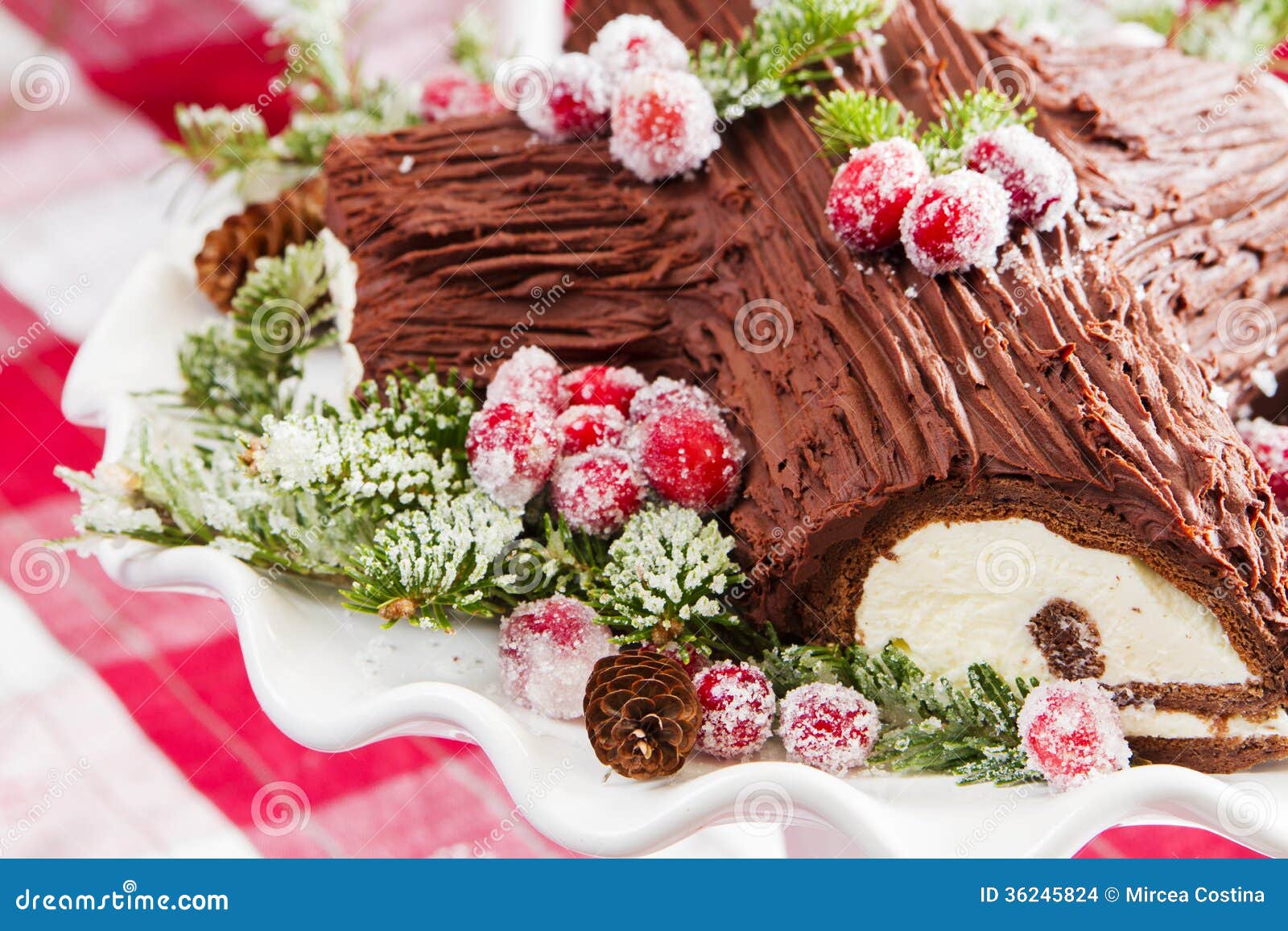 Buche de Noel cake stock photo. Image of delicious, cranberries - 36245824
