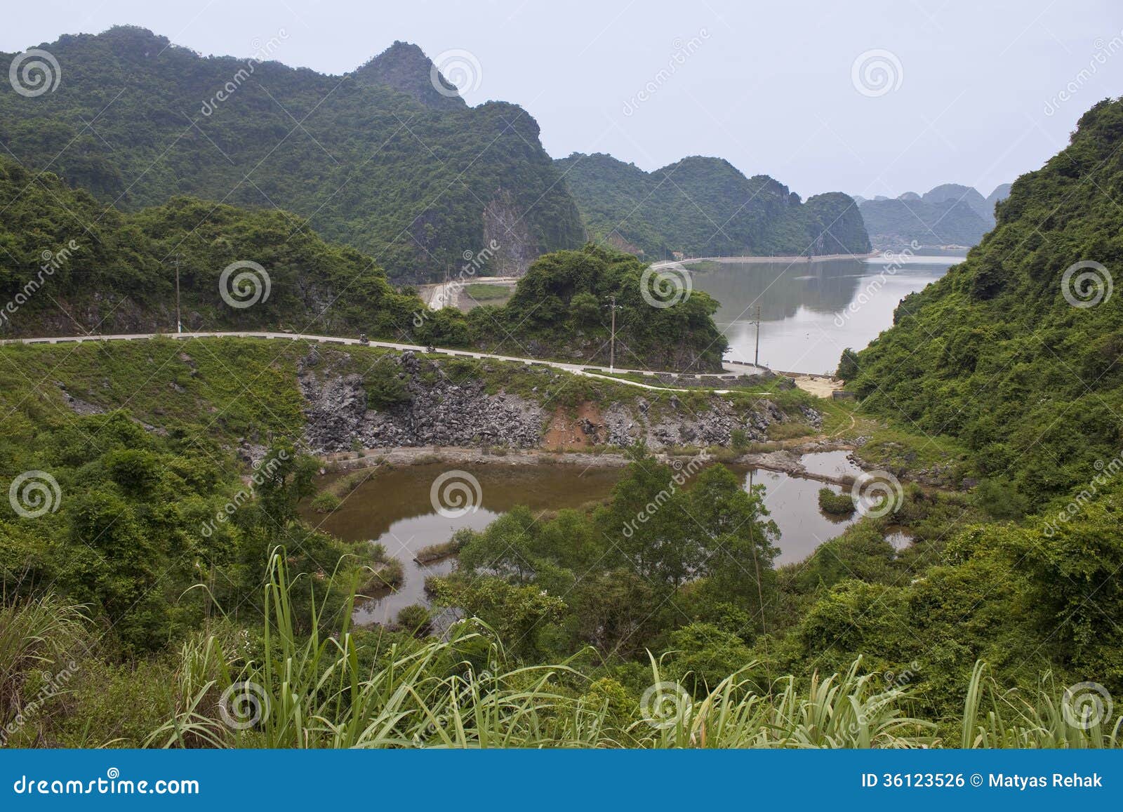 Bucht in Cat Ba-Insel, stockfoto. Bild von panorama, insel - 36123526
