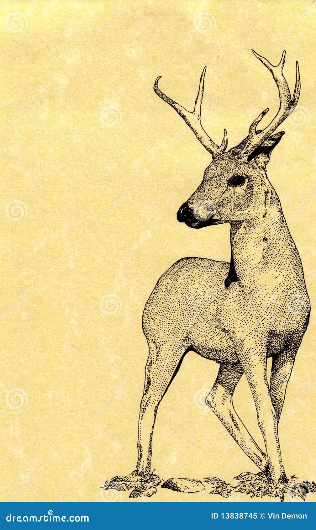 Buck stock illustration. Illustration of artwork, deer - 13838745