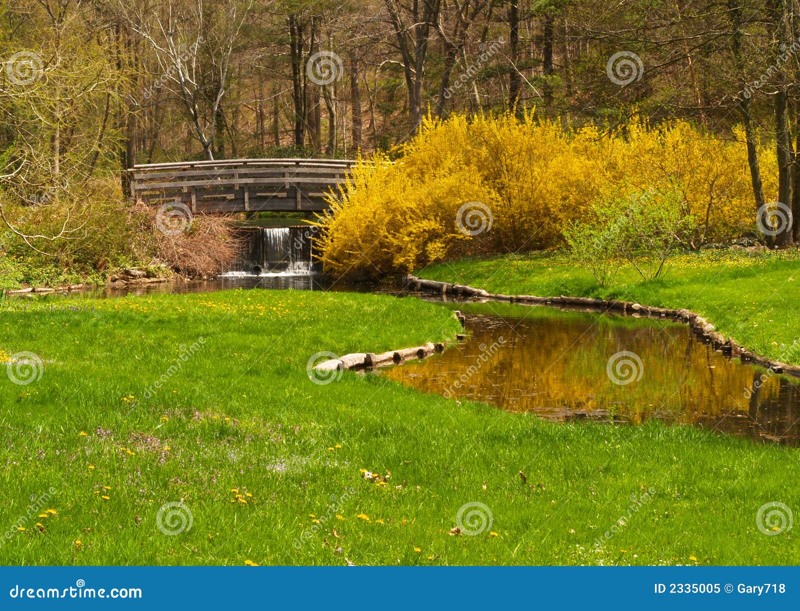 Buck Garden in New Jersay stock image. Image of beautiful - 2335005