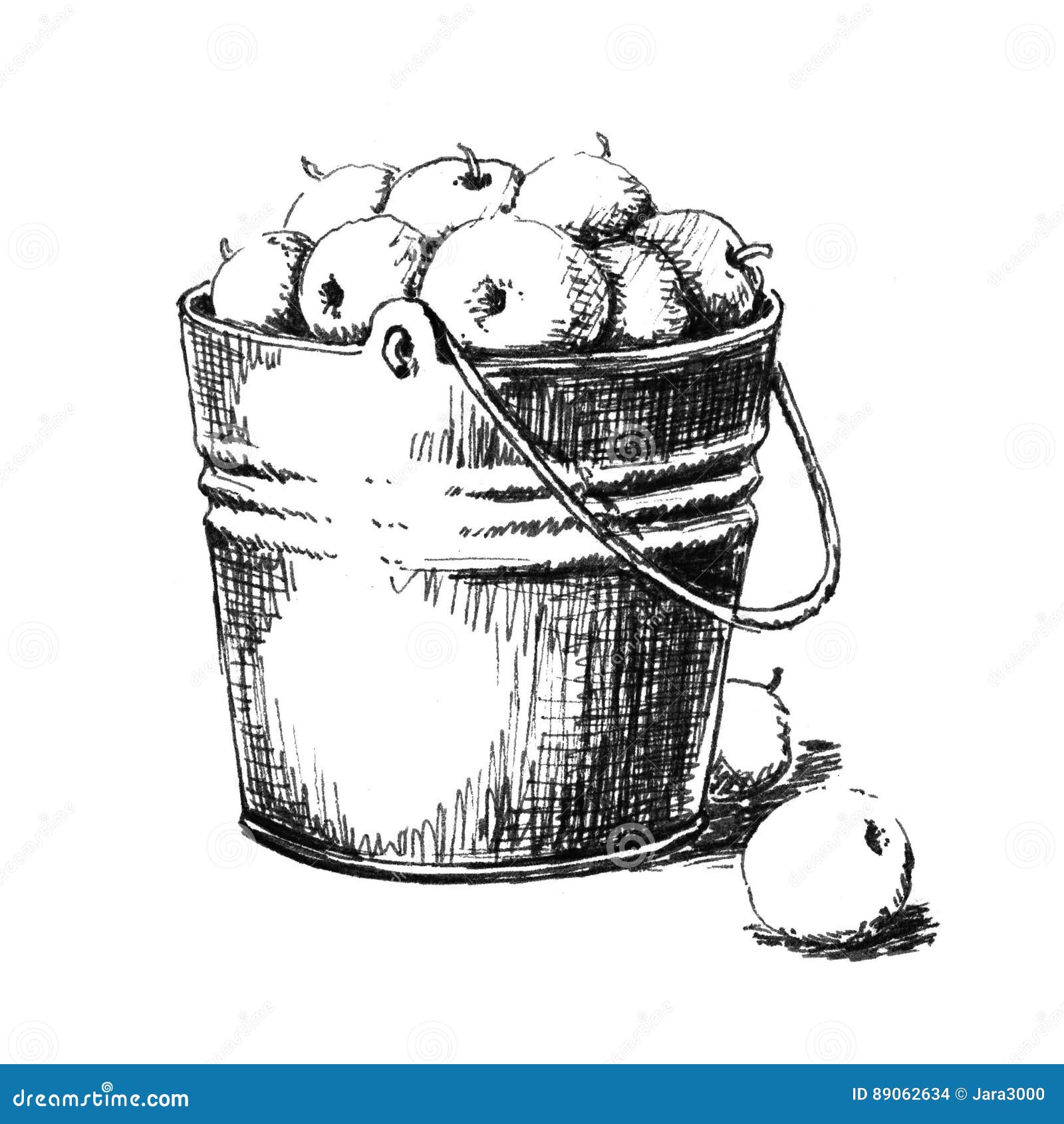 Bucket of apples stock illustration. Illustration of autumn - 89062634