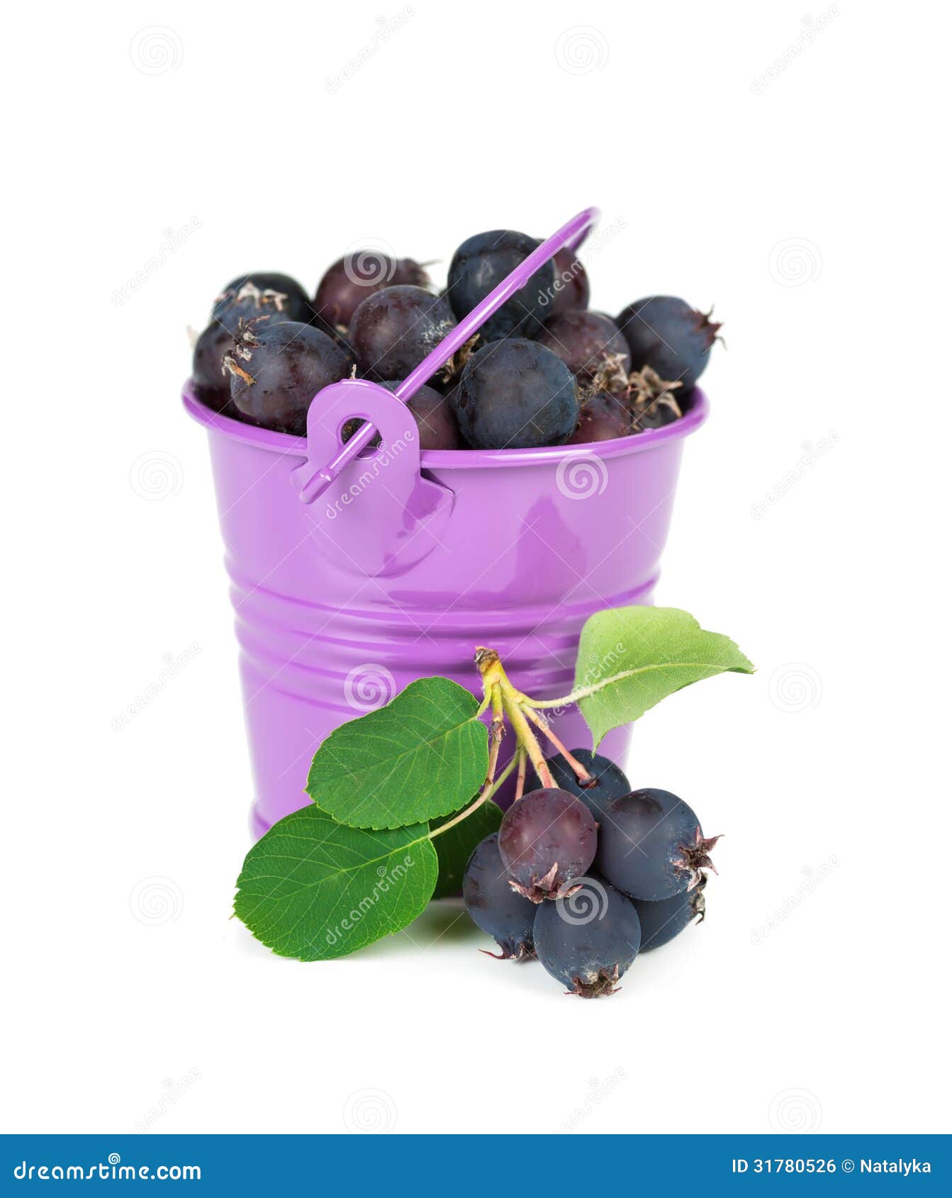 Bucket with berries stock photo. Image of diet, gourmet - 31780526
