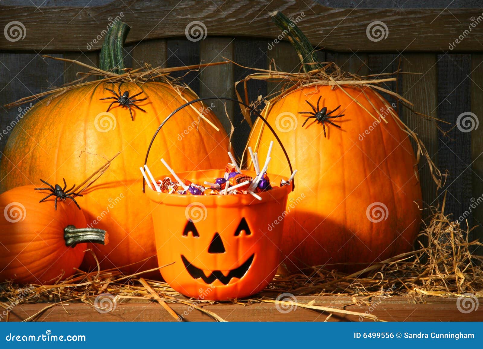 Bucket Filled with Halloween Candy Stock Photo - Image of autumn ...
