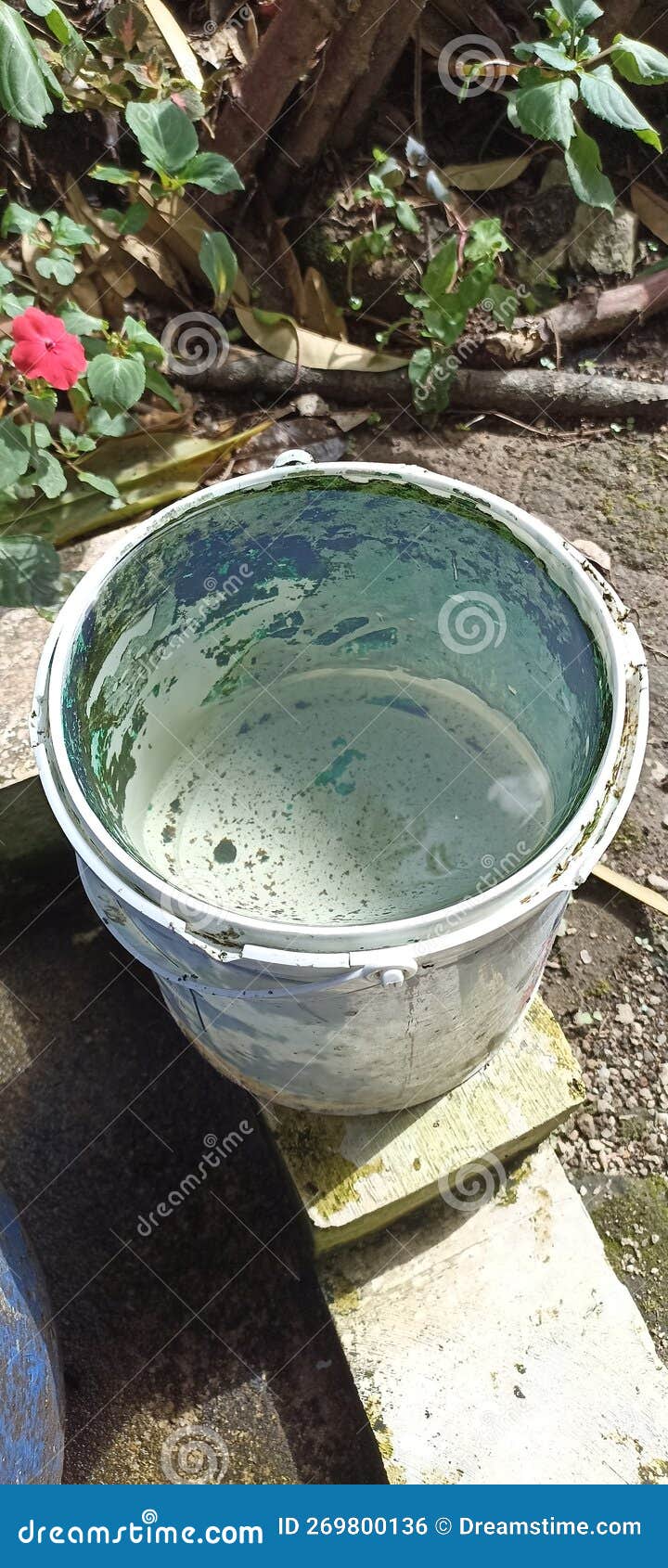 A bucket filled with water stock photo. Image of filled - 269800136