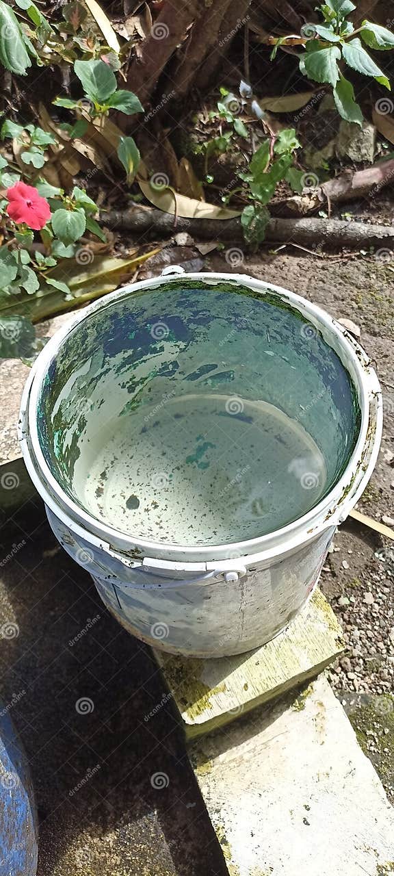 A bucket filled with water stock photo. Image of filled - 269800136