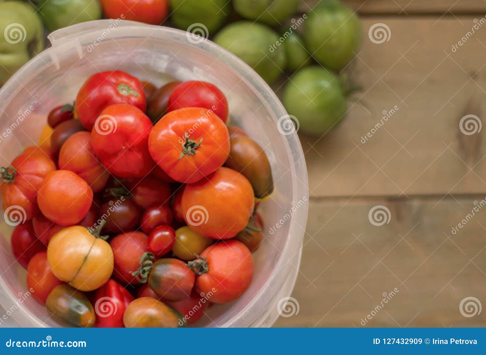 Bucket With Multi-colored Tomatoes Picture. Image: 127432909