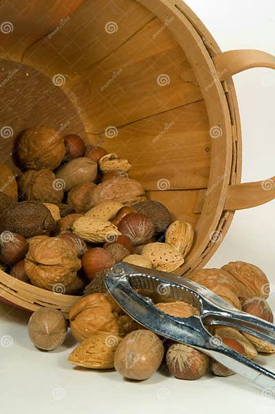 Bucket of Nuts stock photo. Image of brazil, fresh, culinary - 1721864