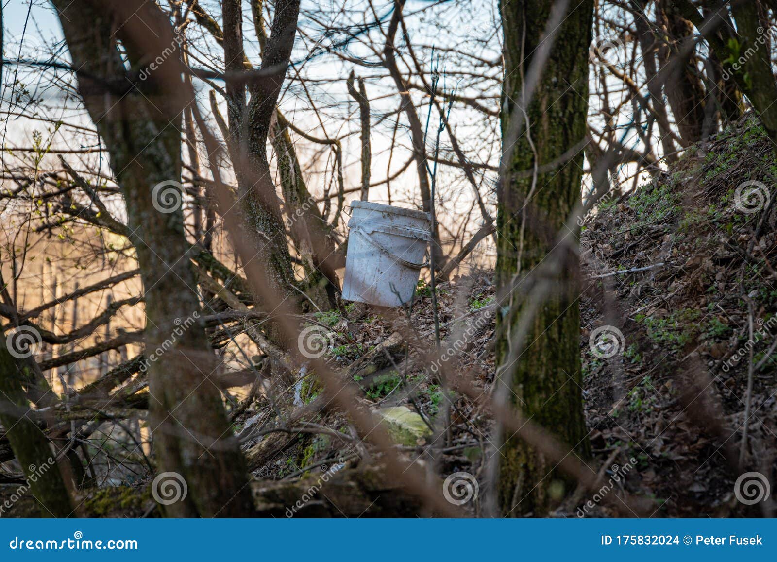 Bucket and Other Garbage Left Over in Nature Stock Photo - Image of ...