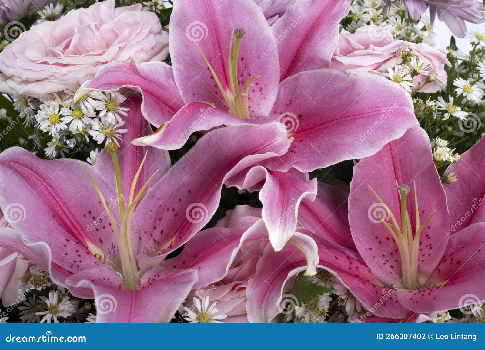Bucket pink flower stock photo. Image of object, bright - 266007402