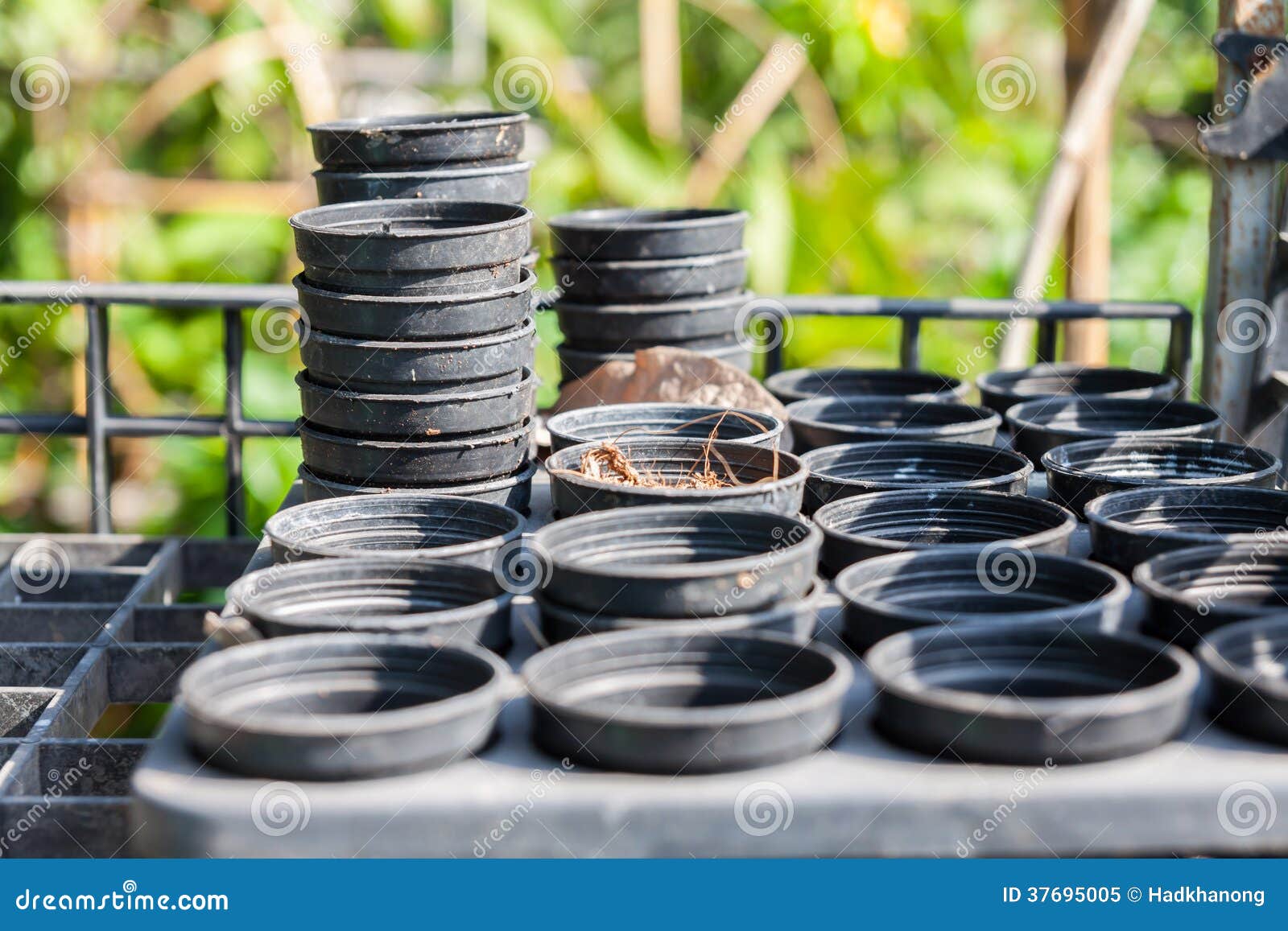 Bucket for planting stock image. Image of environment - 37695005