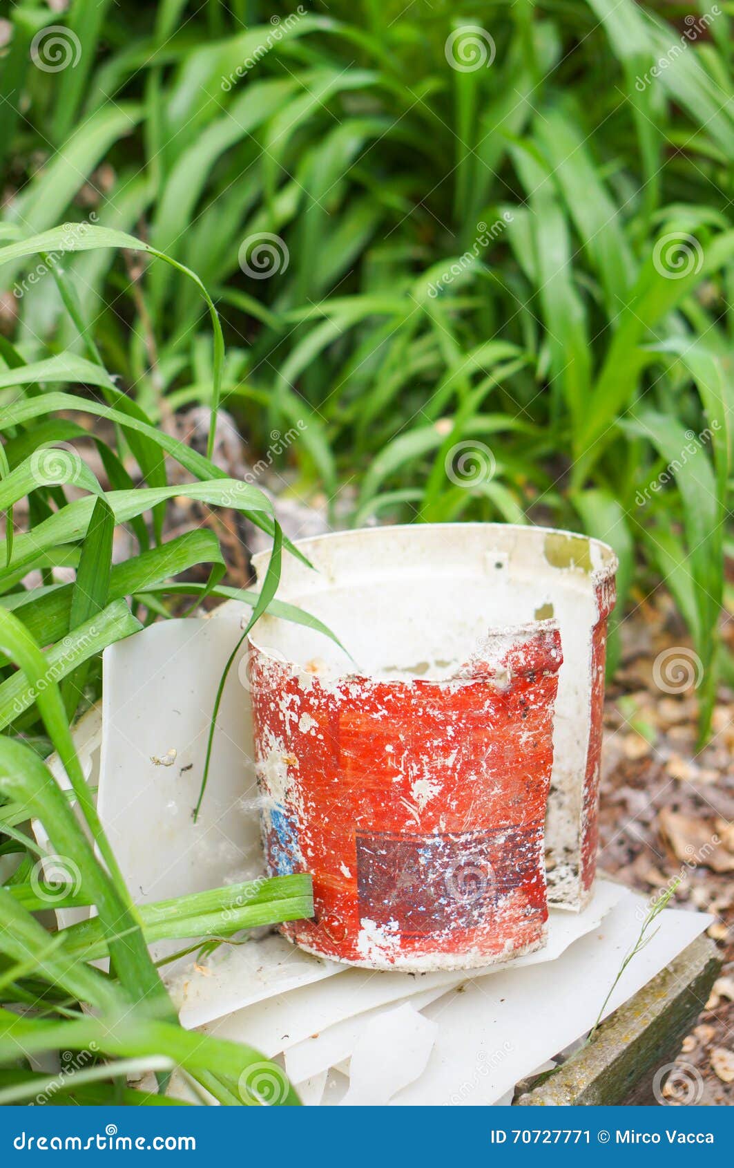 Bucket stock image. Image of natural, plants, damage - 70727771
