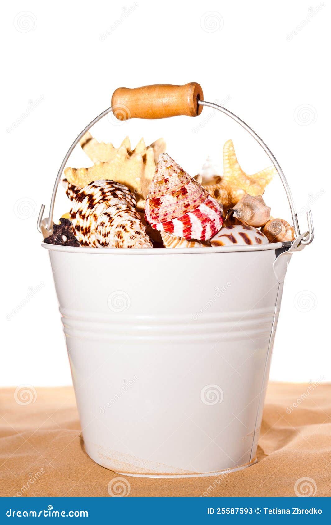 Bucket of Seashells stock image. Image of leisure, sand - 25587593
