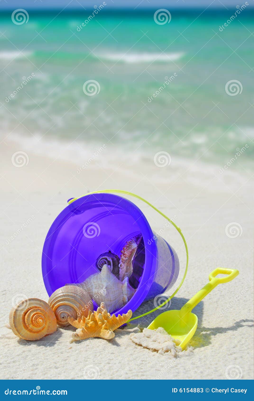 Bucket of seashells stock image. Image of shore, seashell - 6154883
