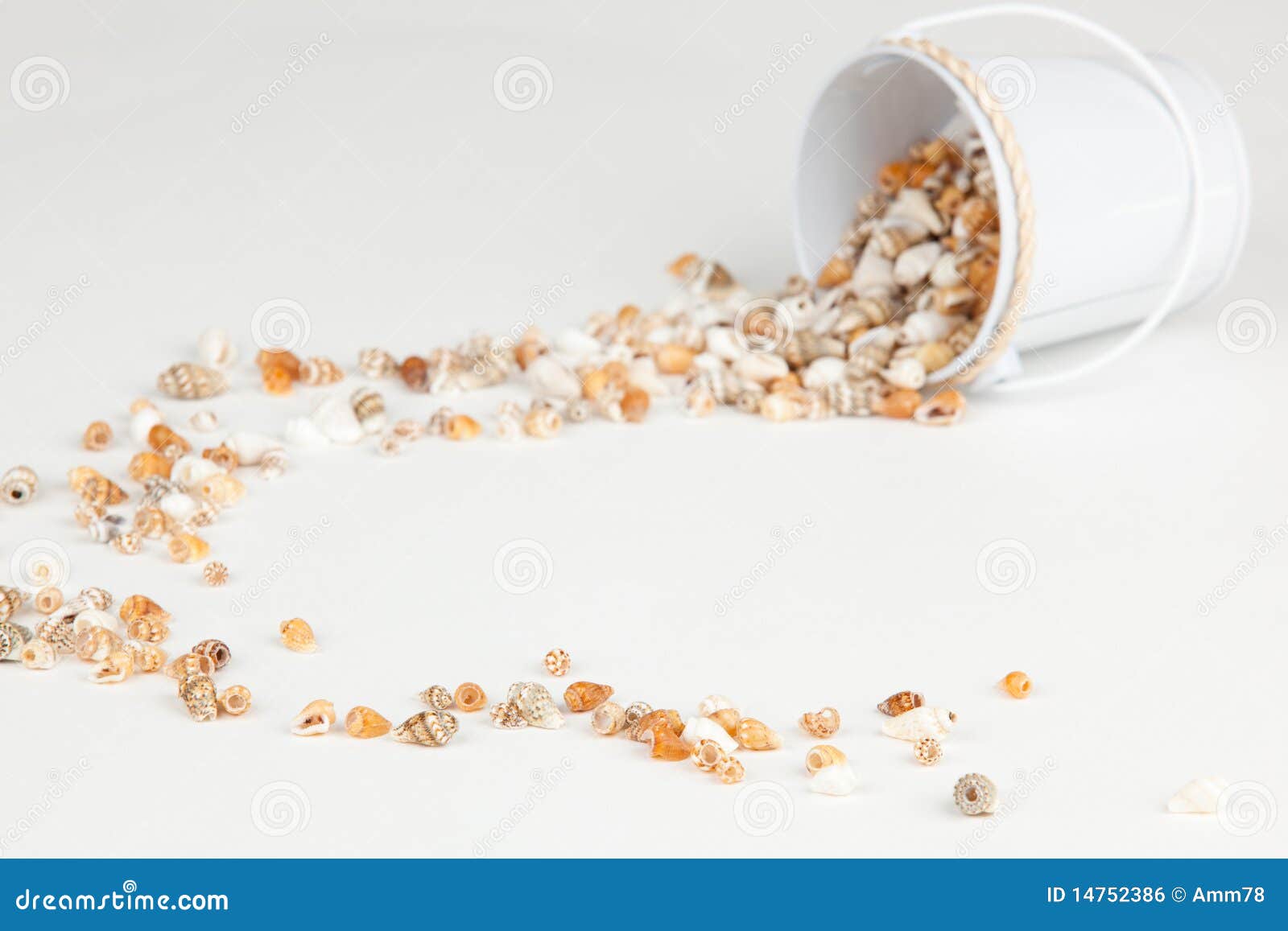 Bucket of Shells stock photo. Image of bucket, studio - 14752386