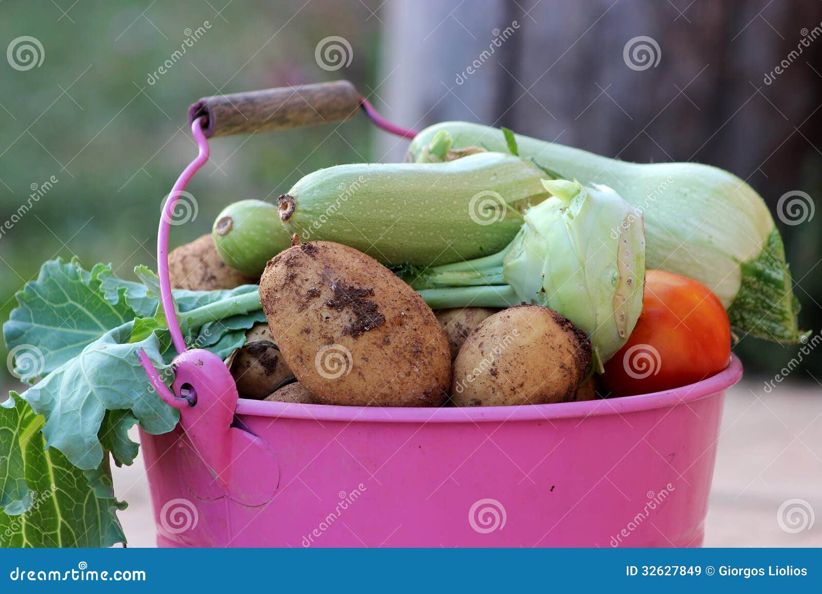 Bucket with vegetables stock image. Image of green, plant - 32627849
