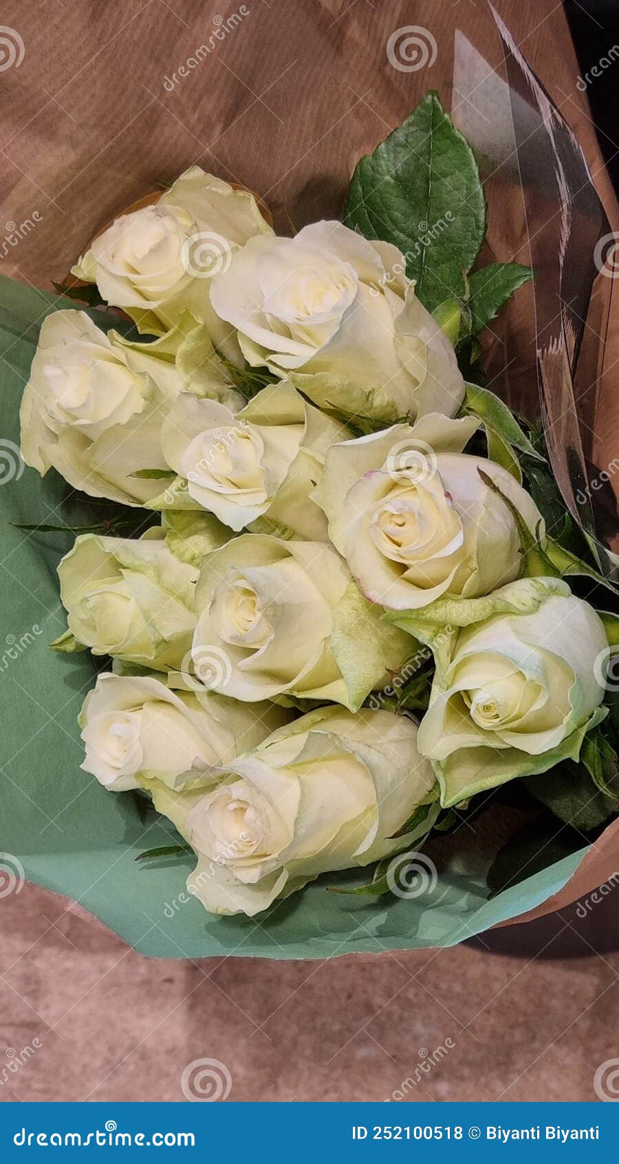 Bucket white roses stock photo. Image of white, green - 252100518