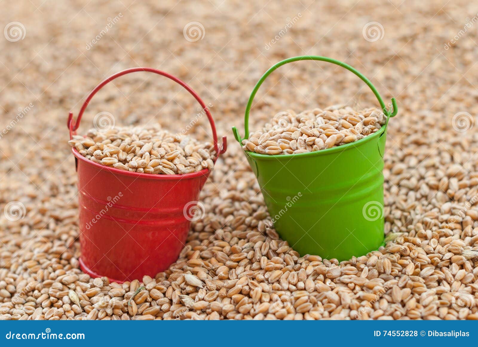 Buckets with wheat stock photo. Image of bread, industry - 74552828
