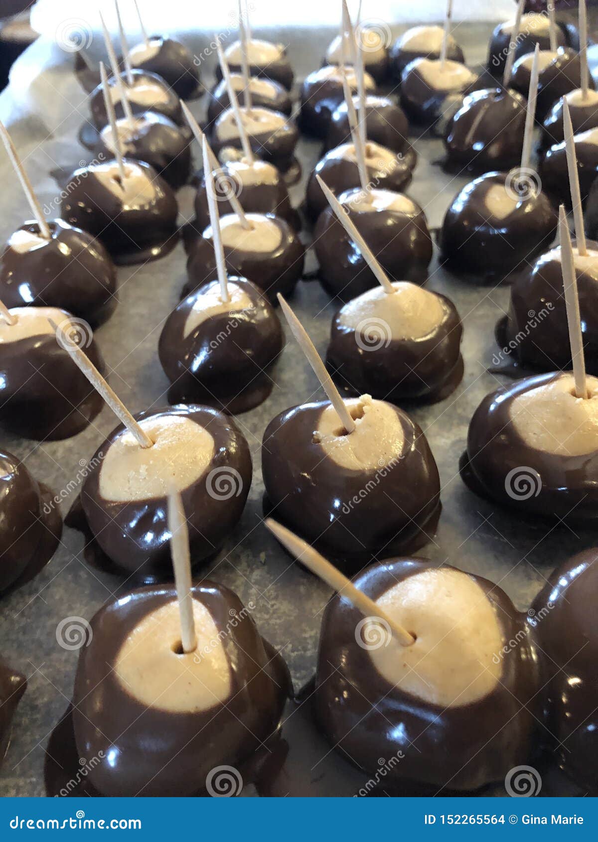 Buckeye Balls stock photo. Image of ohio, balls, buckeye - 152265564