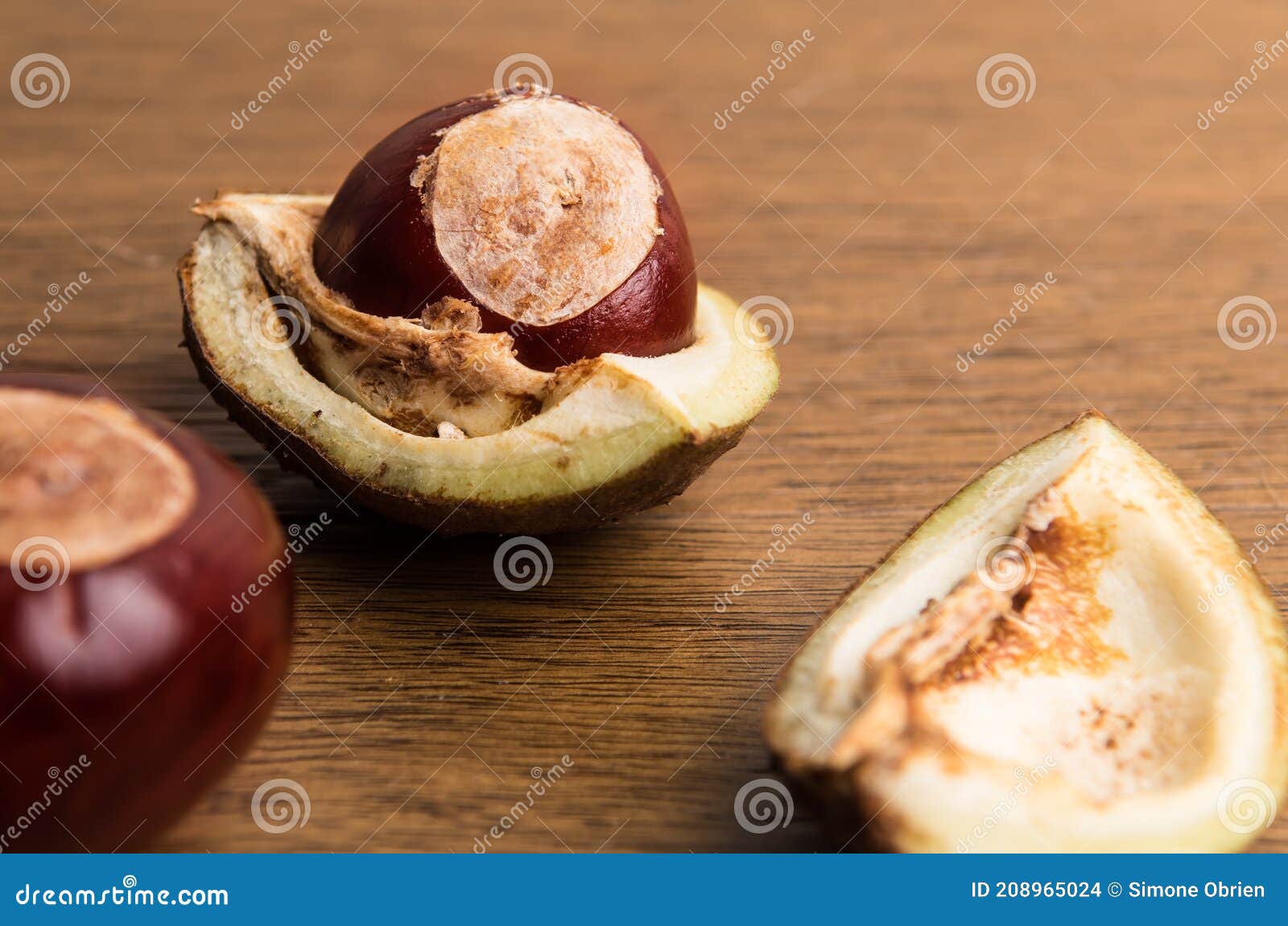 Buckeye Chestnut and Conker in Shell on Wood Stock Photo - Image of ...