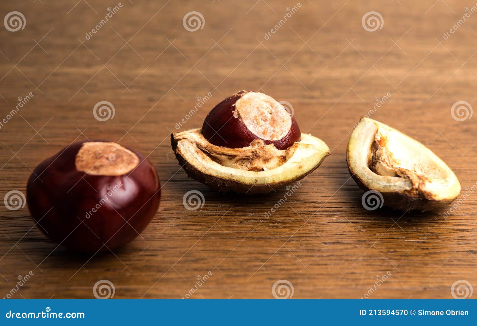 Buckeye Chestnut and Conker in Shell on Wood Stock Photo - Image of ...