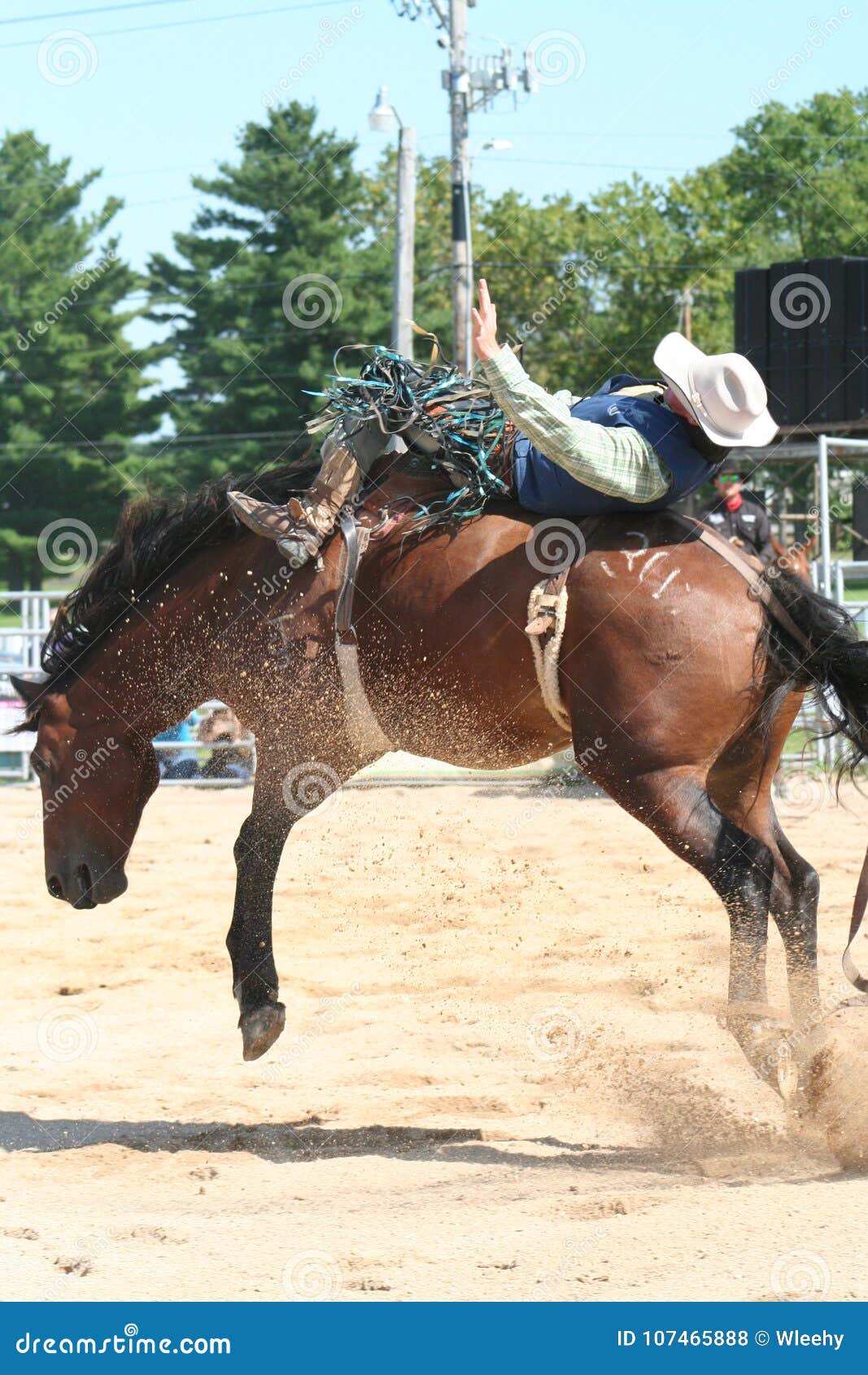 Bucking bronco editorial stock photo. Image of riverfalls - 107465888