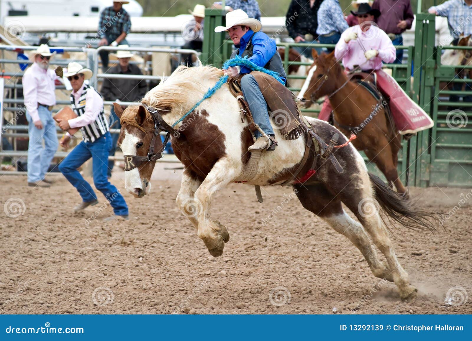 Bucking horse editorial stock image. Image of saddle - 13292139