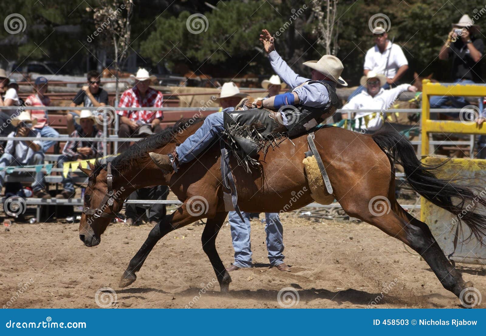 Bucking Horse stock image. Image of rider, equine, hanging - 458503
