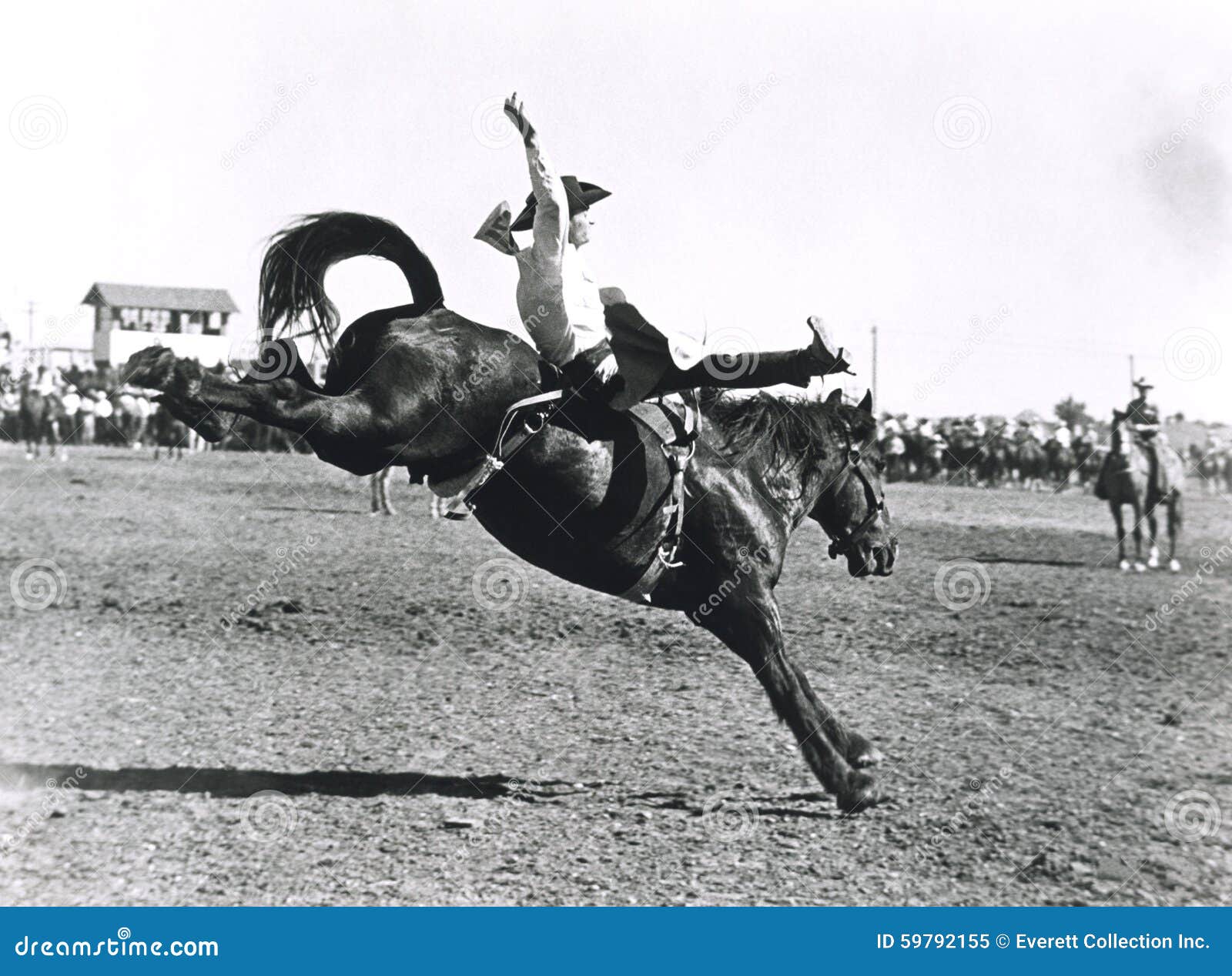 Bucking the trend stock image. Image of determination - 59792155