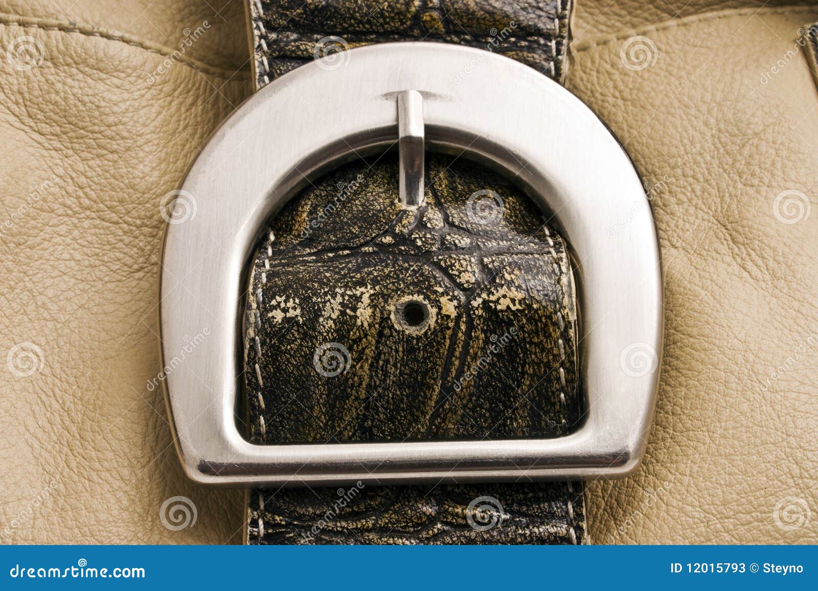 Buckle stock image. Image of leather, secure, close, lock - 12015793