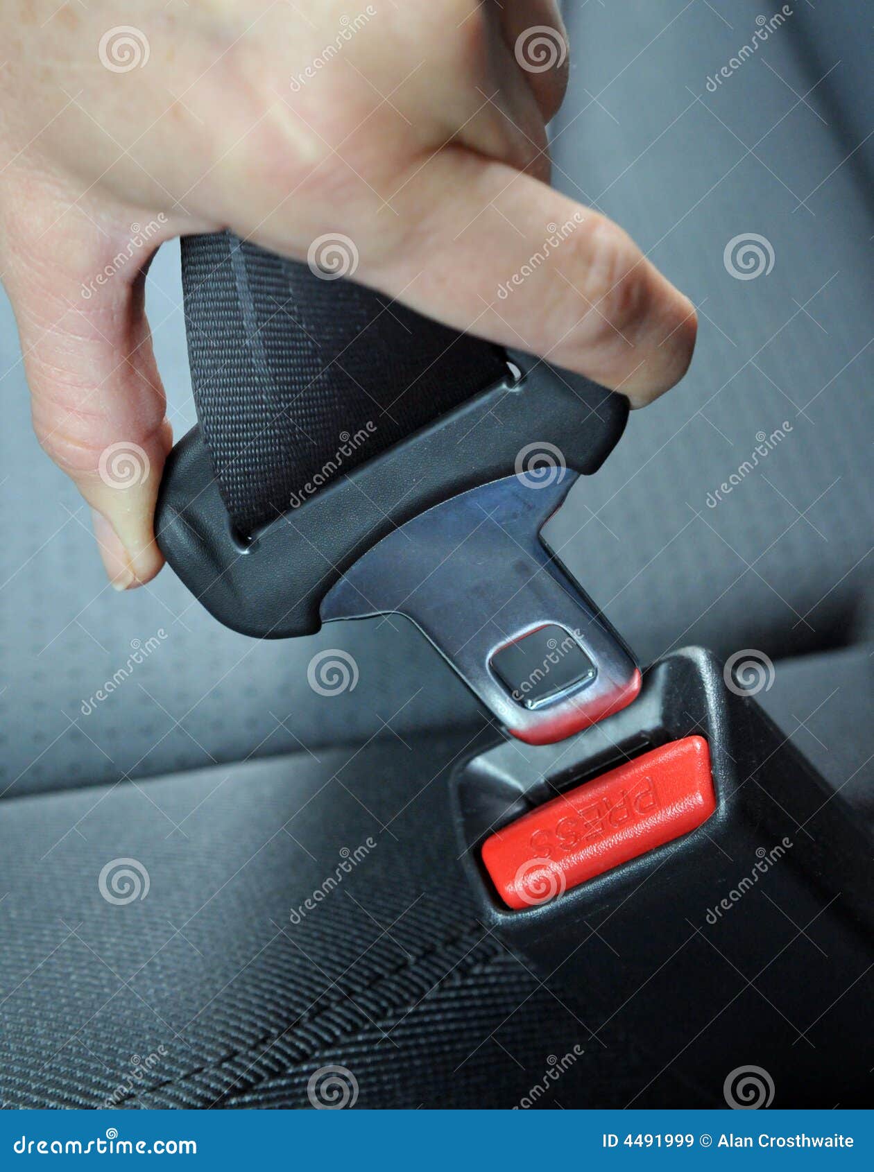 Buckle Up stock image. Image of seatbelt, regulations - 4491999